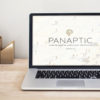 Panaptic - Braid Creative and Consulting